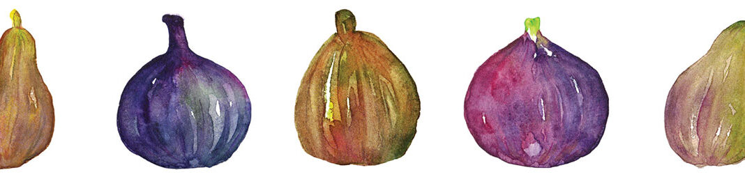 Ways to Enjoy Fresh Figs