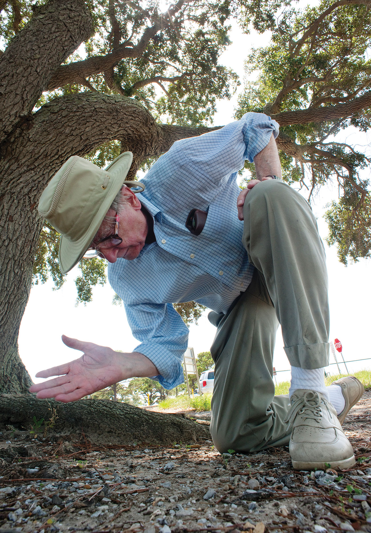 Remembering E.O. Wilson