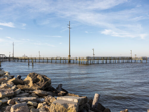 Friends at Cedar Point Pier
