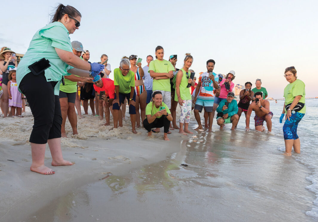 Mobile Bay Magazine’s 5th Annual Watershed Awards