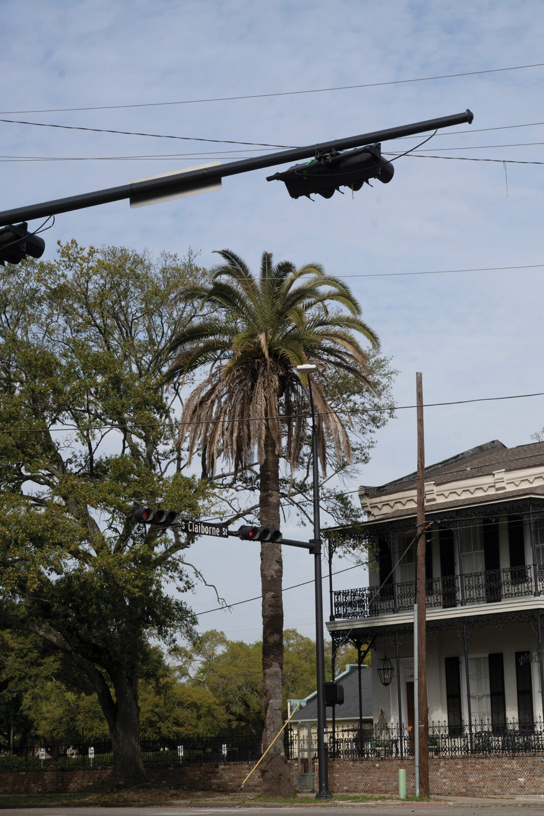 New Mobile Tree Trail: Sharing the love for Mobile's Nature and Past