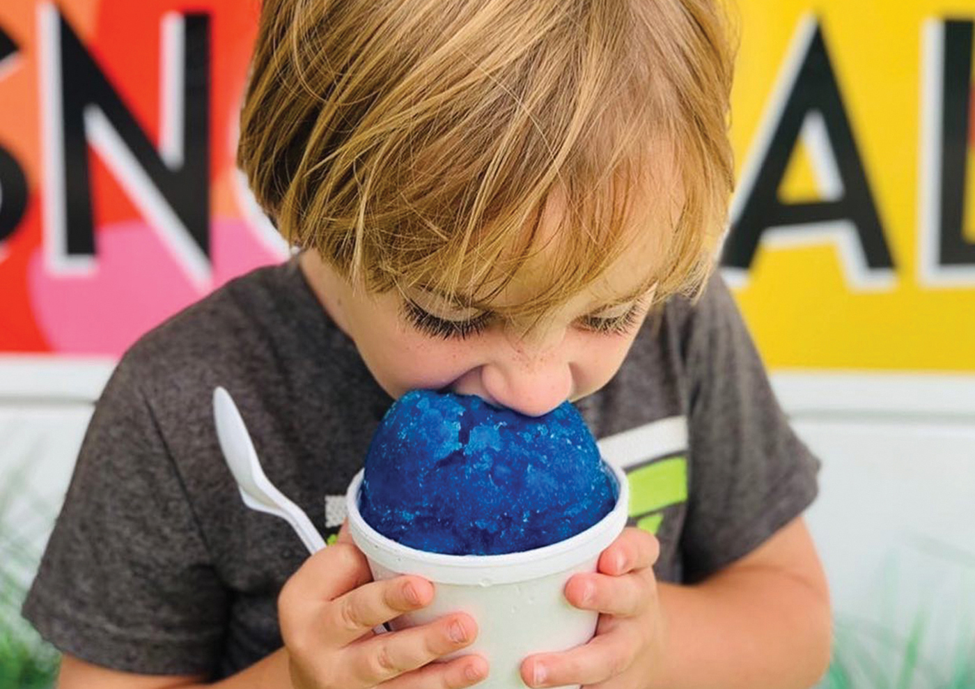 Take a Snowball Tour of the Bay