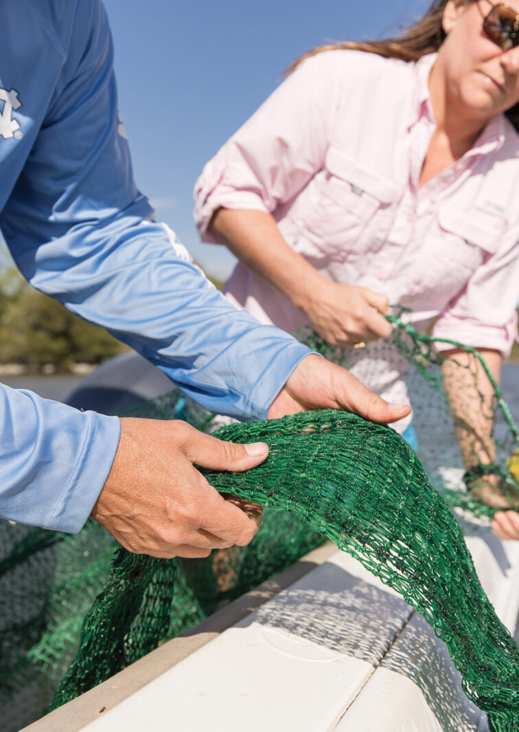Pulling a Shrimp Trawl