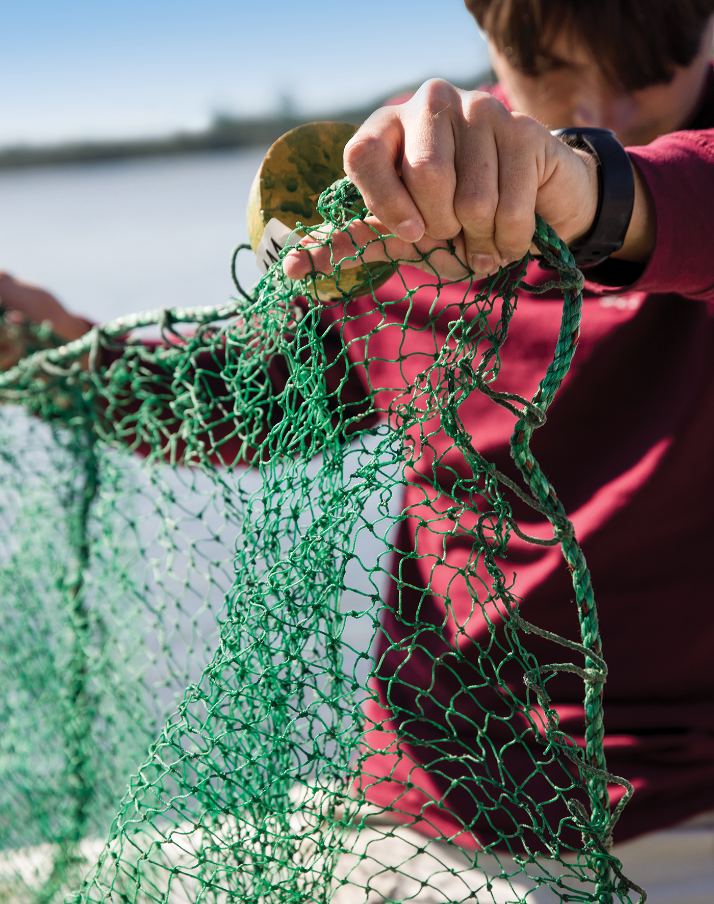 Pulling a Shrimp Trawl
