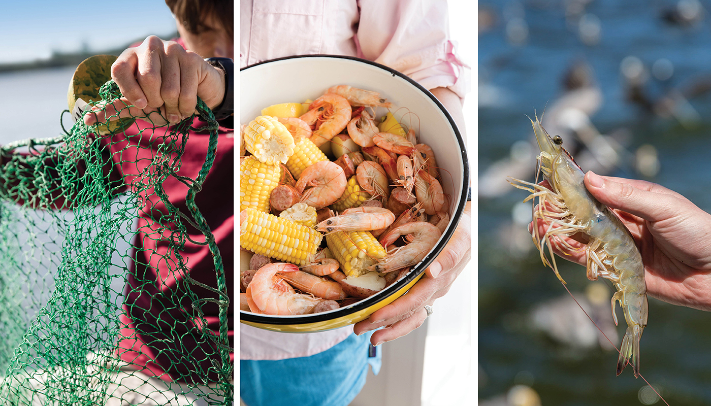 Pulling a Shrimp Trawl