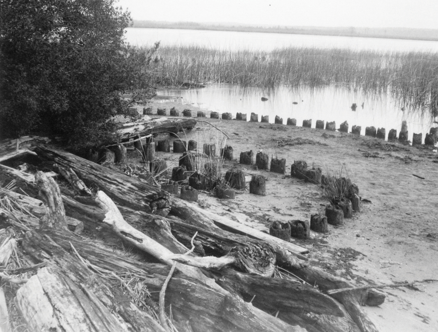 Remains of Fort Tracy
