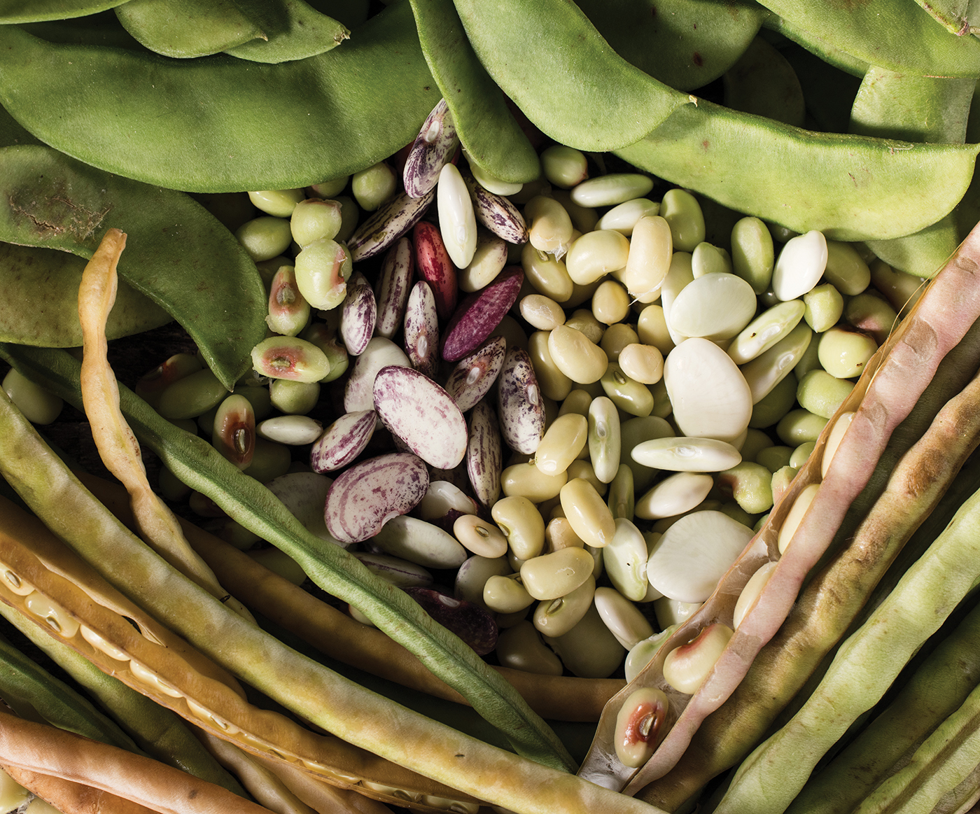 The Lost Art of Shellin’ Peas