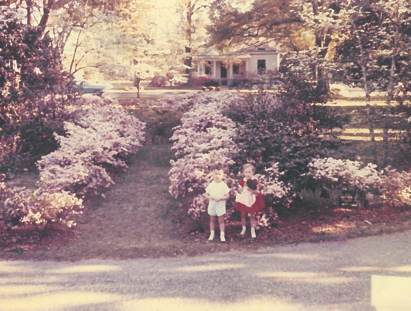 Chronicles from Shell Cottage