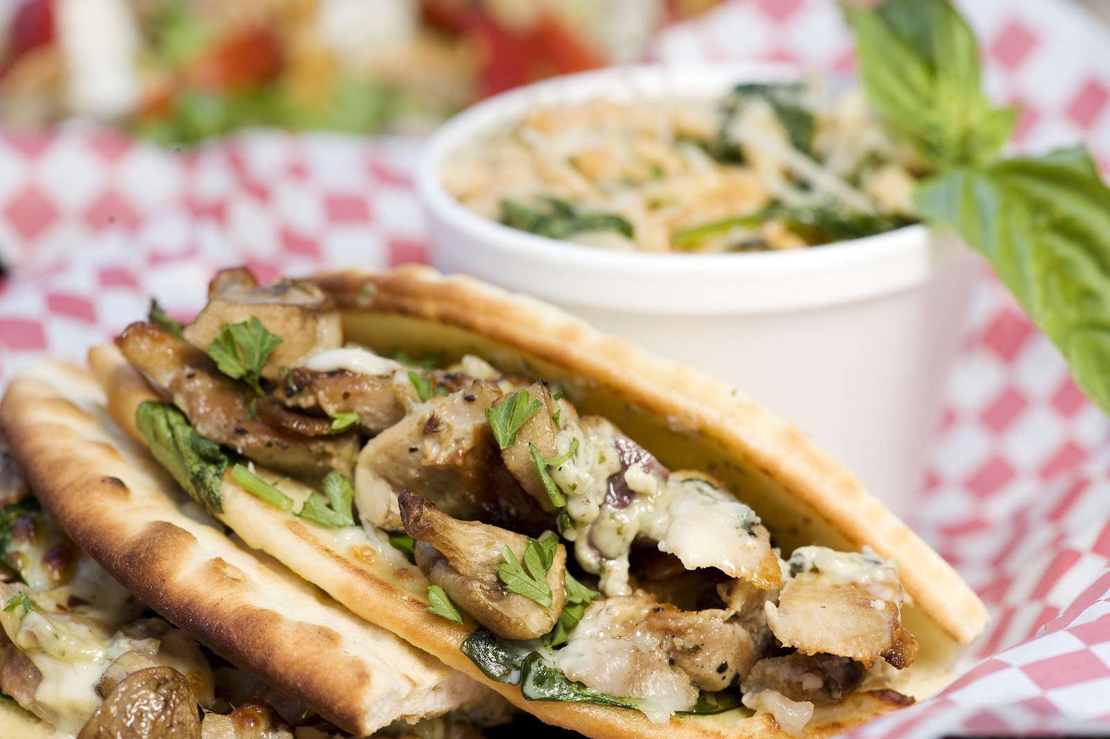 Restaurant Review: Mediterranean Sandwich Co.