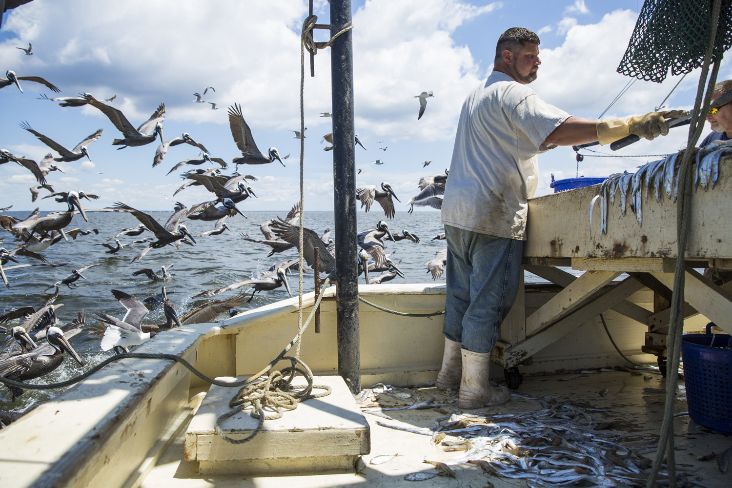 Mobile Bay's Top 10 Stories of 2017