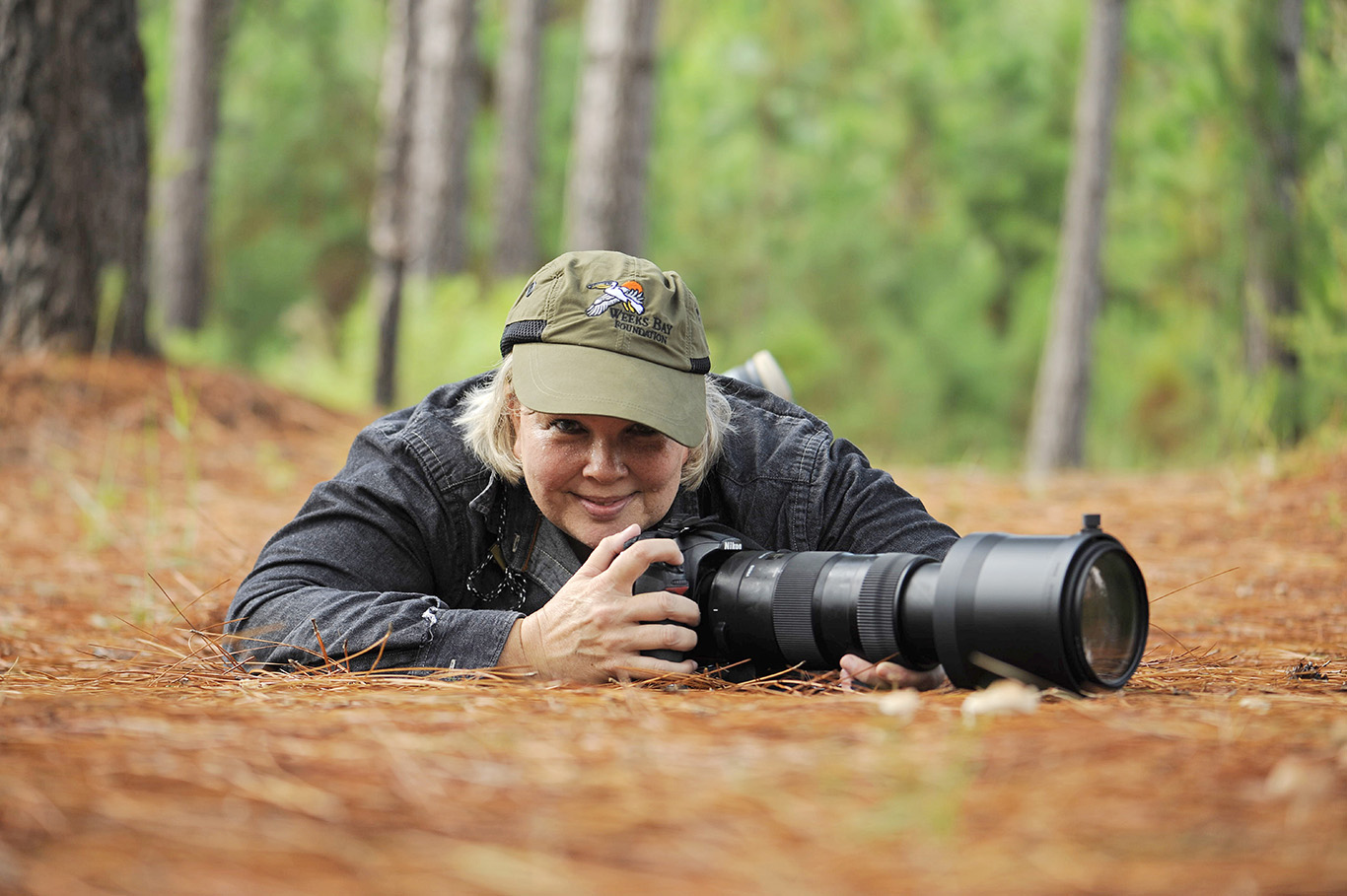 Capturing the Fall Bird Migration