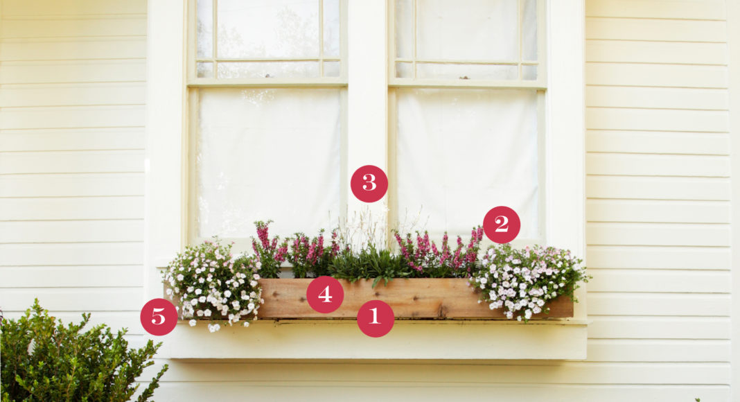 Anatomy of a Window Box