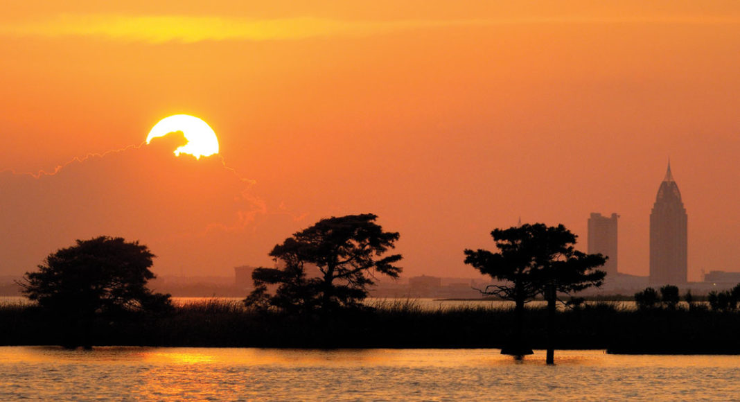 A Newcomer's Guide to Mobile Bay