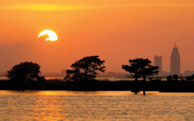 A Newcomer's Guide to Mobile Bay