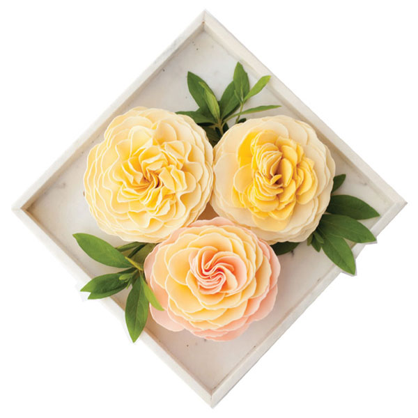 8 Must-Have Garden-Inspired Products