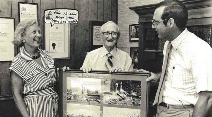 The Amazing Life of Ann Bedsole