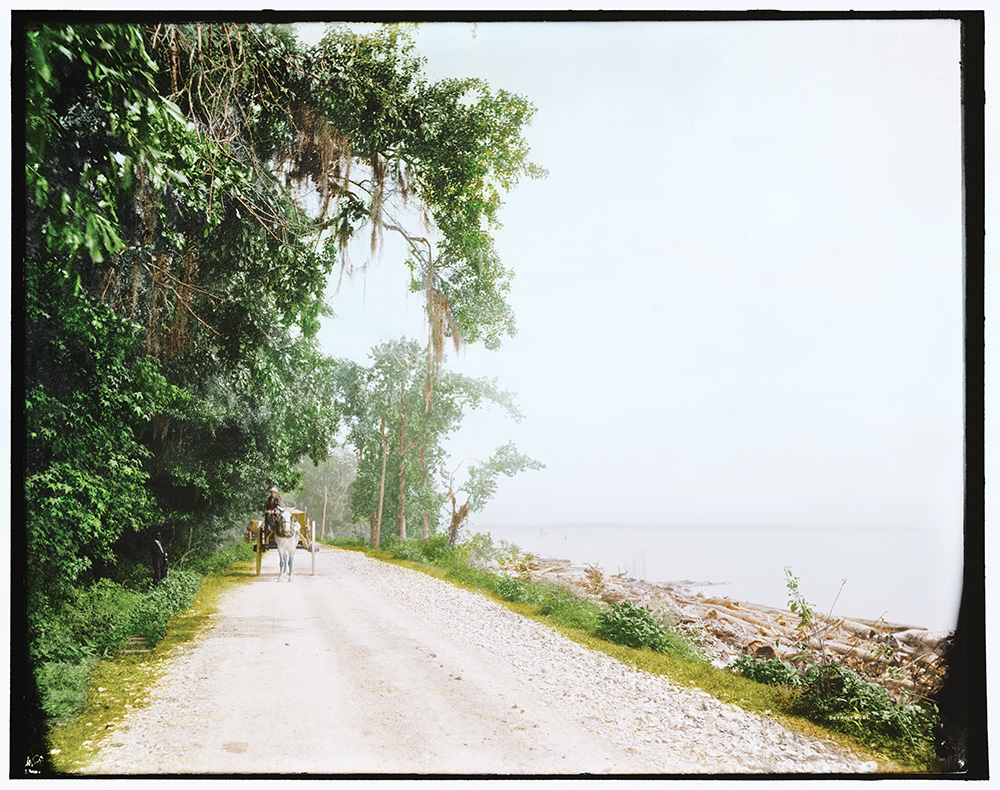 Bay Shell Road, c. 1900