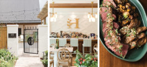 Fungi Love at The Hope Farm