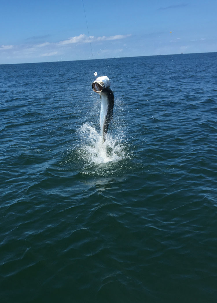Tarpon Fishing from the Jump