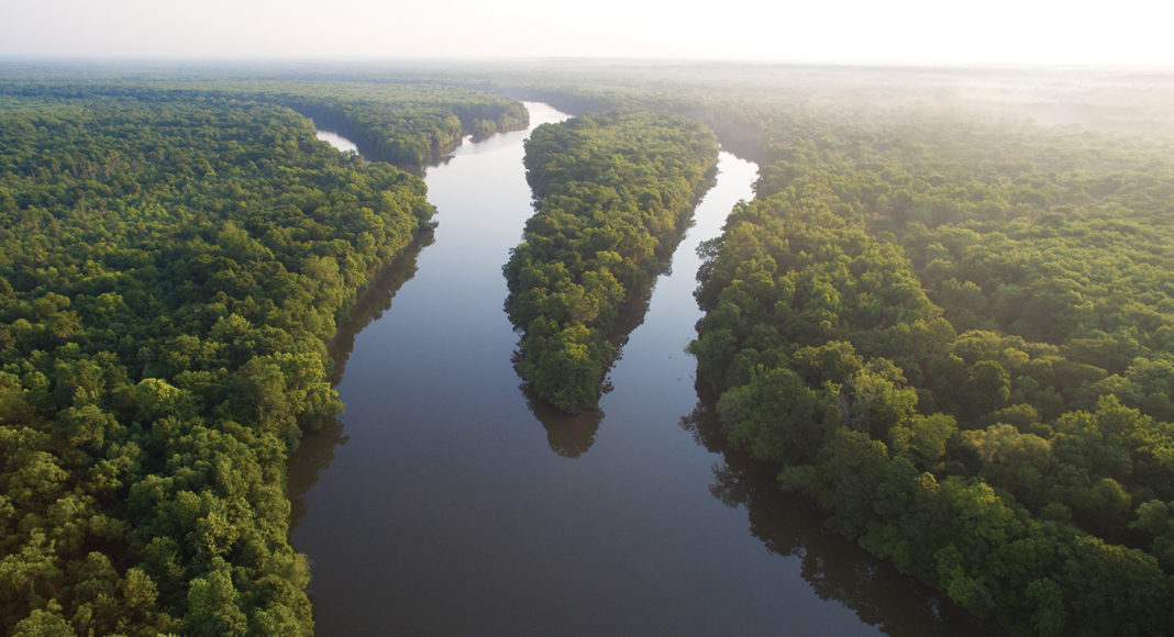 Alabama Rivers: A Celebration & Challenge